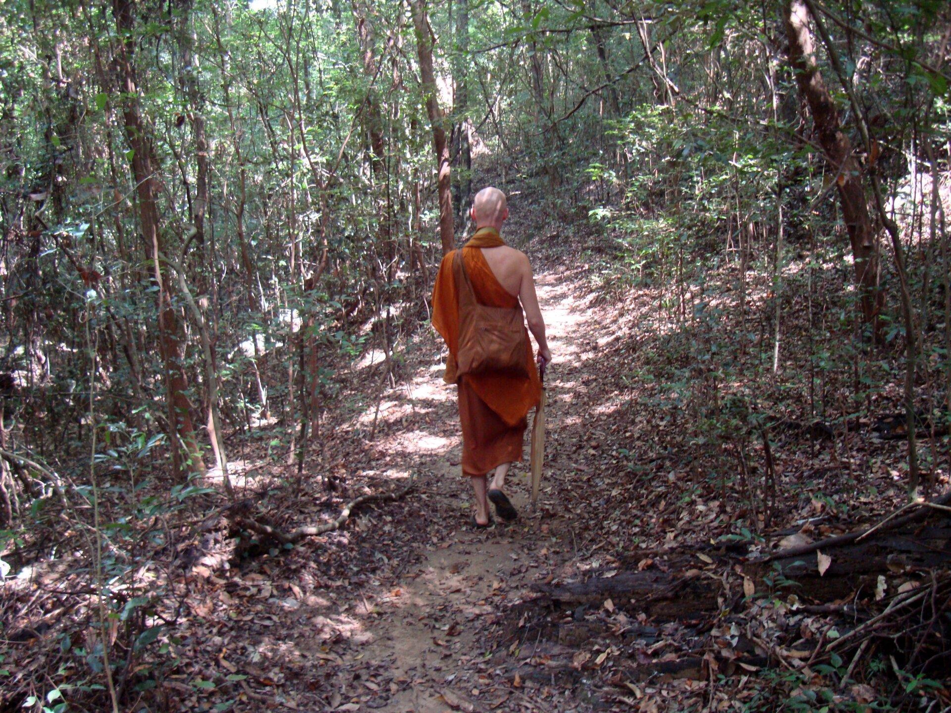 Our monastic life in Asian forests - Samanadipa Forest Buddhist Monastery