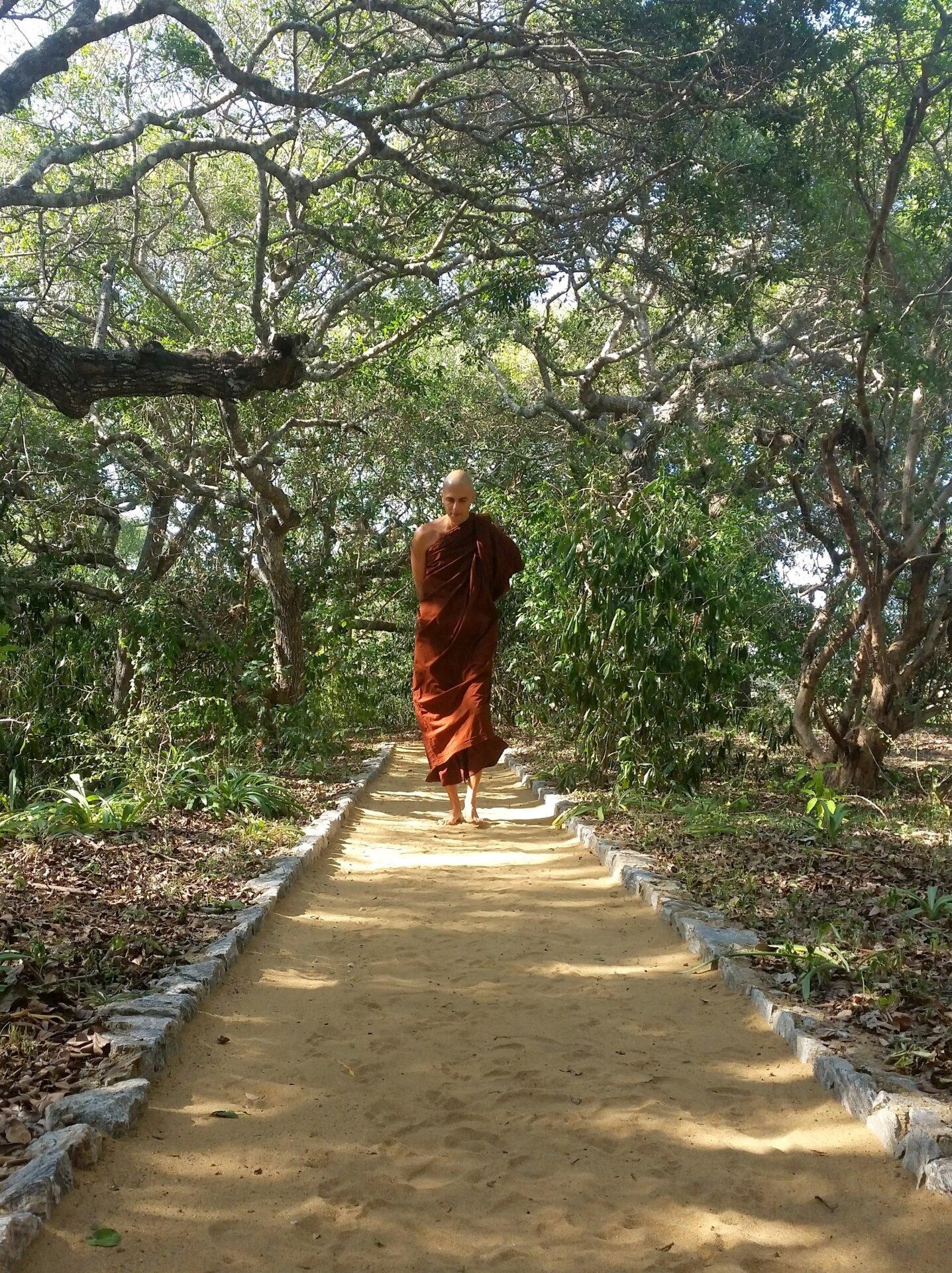 Our monastic life in Asian forests - Samanadipa Forest Buddhist Monastery